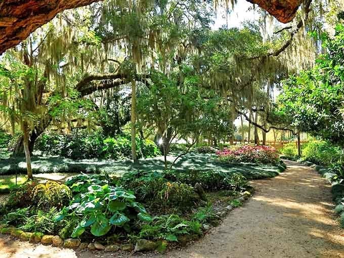 Tranquility awaits in the formal gardens, where Spanish moss drapes from oaks like nature's own chandeliers over manicured pathways.
