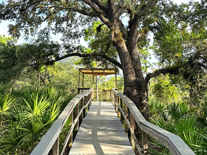 Nature's observation deck: this gazebo viewpoint offers a moment of contemplation among ancient trees that have witnessed centuries pass.