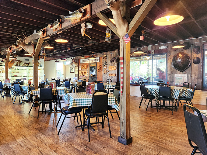 Wooden beams, checkered tablecloths, and mounted wildlife create a dining room where rustic charm meets natural history museum.
