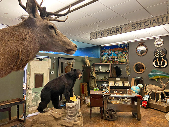 Step inside and be greeted by a vintage coffin repurposed as a reception desk &ndash; your first hint that this isn't your average gift shop.