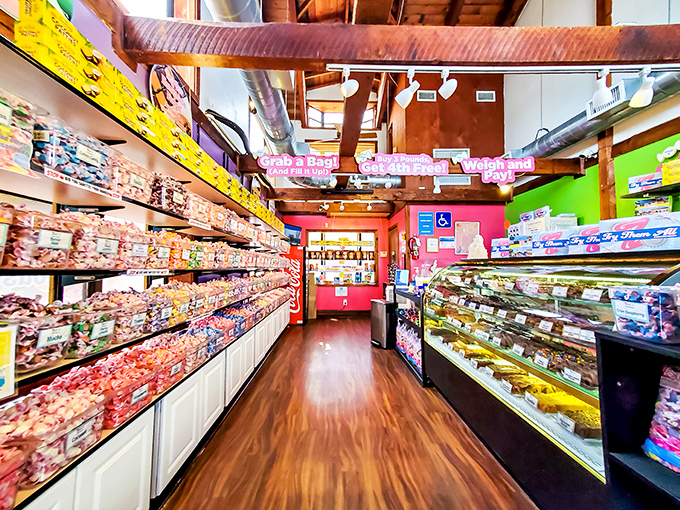 Step inside where burgundy carpets and vintage portraits create an atmosphere fancier than most people's living rooms but way more delicious.