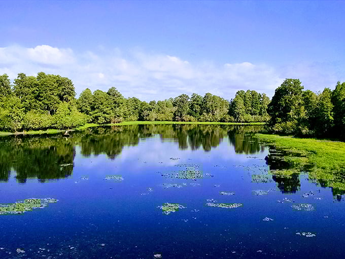 Mirror, mirror on the water – the lake's surface creates perfect reflections that would make even Narcissus do a double-take.