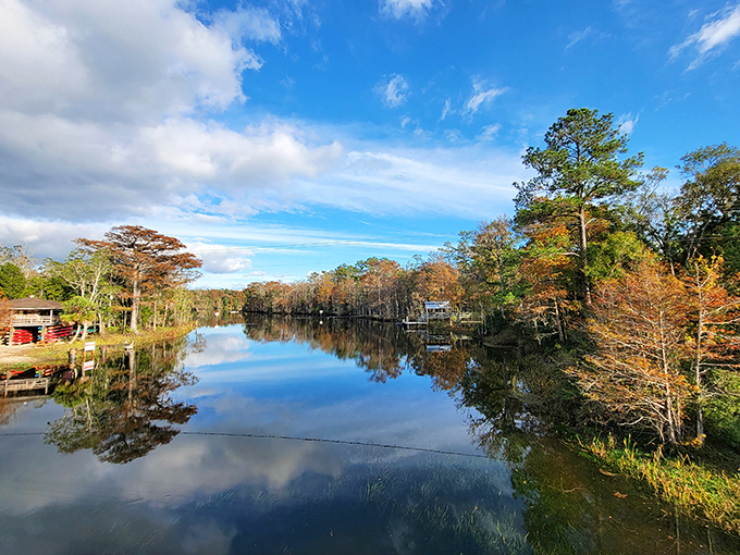 Mother Nature showing off her reflection game &ndash; the Wakulla River doubles the beauty with glass-like clarity that photographers dream about.