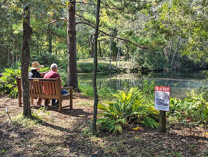 Take a load off at this lakeside bench, where contemplating life's mysteries comes with a side of turtle-watching.
