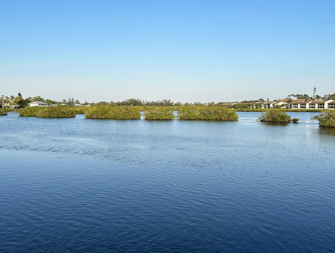 Water views like this make you wonder why anyone would choose a treadmill when this exists just down the road.