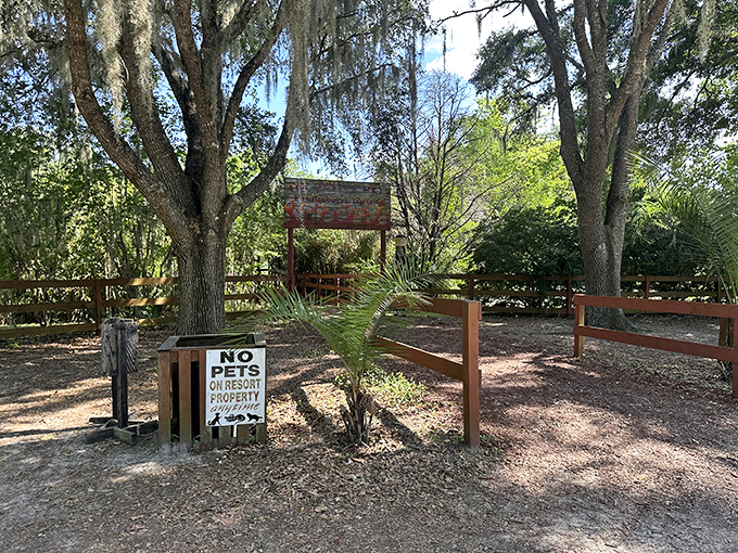 The unassuming entrance to Devil's Den belies the aquatic wonderland hiding beneath &ndash; like finding Narnia in your neighbor's closet.