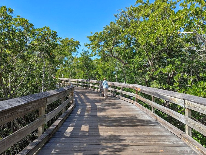 Where wilderness meets luxury: Naples' mangrove tunnels create a dramatic entrance to some of Florida's most pristine shoreline.