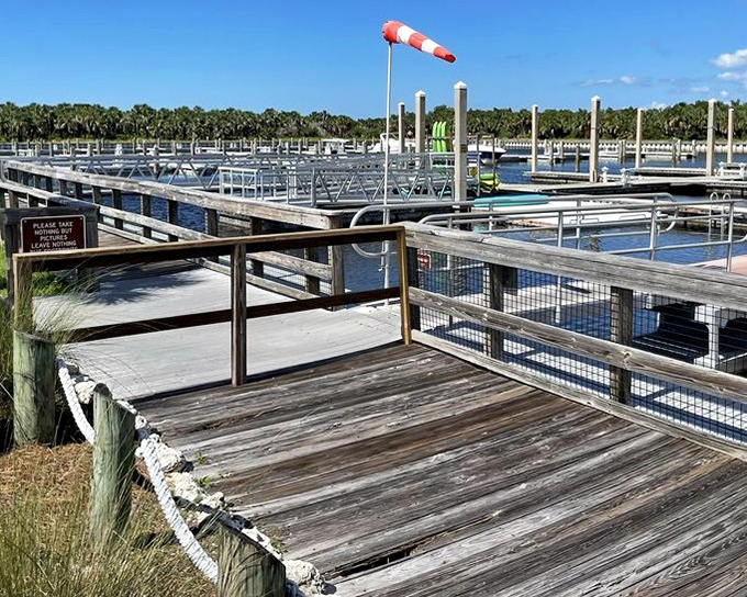 The marina welcomes boaters with weathered wooden charm, a civilized outpost before you venture into Caladesi's wild heart.