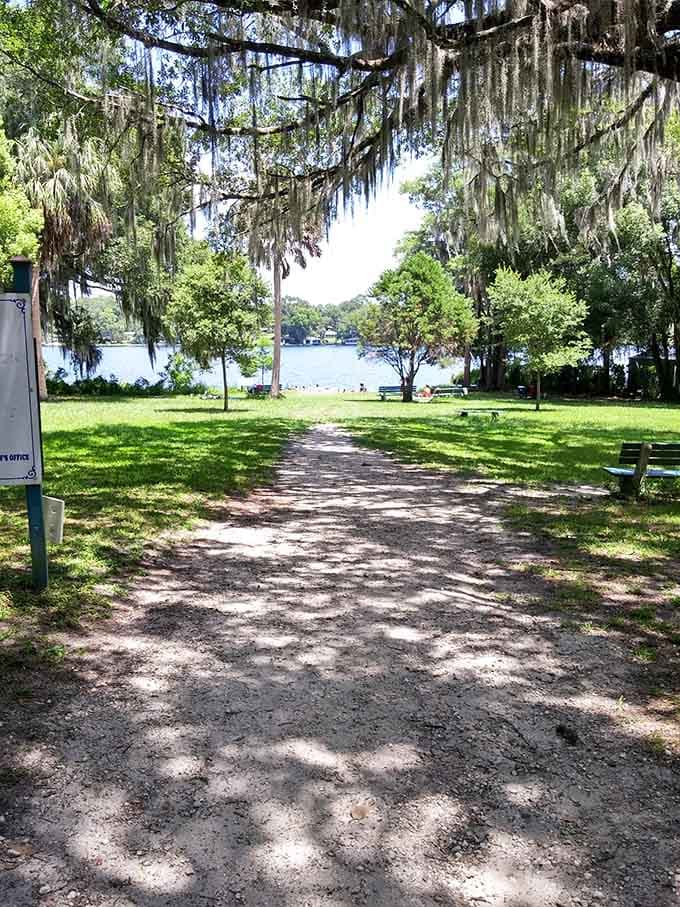 This shaded path leads to lakeside serenity, proving that the best journeys don't require paved roads or fancy destinations.