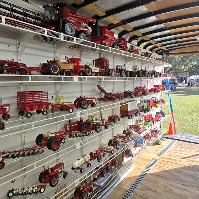 Miniature farming history on display! These tiny red tractors showcase agricultural evolution with more precision than some full-sized museum exhibits.