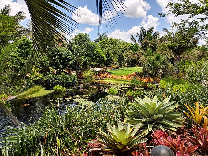 This sweeping view showcases the garden's impressive scale, where tropical plants and carefully designed landscapes prove Florida does sophisticated beauty exceptionally well.