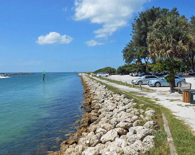 North Jetty Park's rocky shoreline creates nature's perfect fishing platform where locals cast lines while dolphins play in the currents.