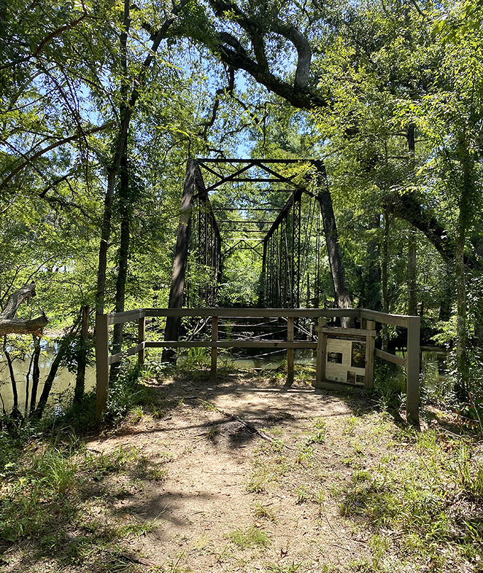 Time and nature embrace the old truss bridge, creating a hauntingly beautiful tableau against the Florida wilderness.
