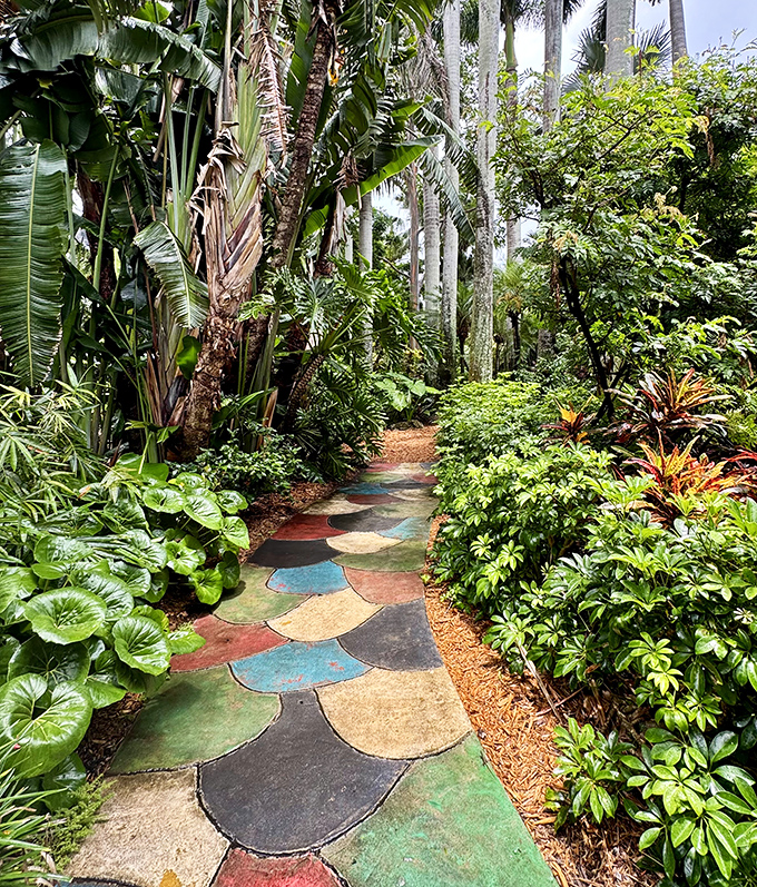 Nature's mosaic &ndash; a colorful stone pathway winds through dense tropical foliage, each step revealing new botanical treasures.