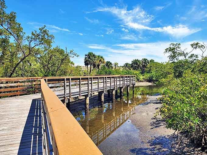 Nature's welcome mat – this wooden boardwalk invites exploration through mangrove forests where land and sea perform their ancient dance.