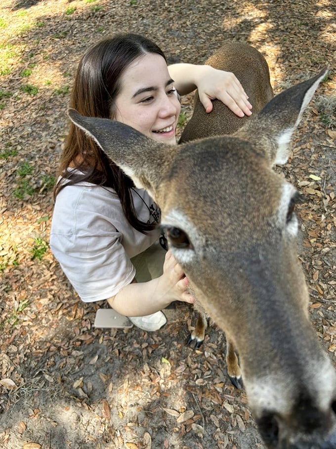 A visitor shares a joyful moment with a deer, demonstrating the sanctuary's diverse collection of exotic animals beyond lemurs.