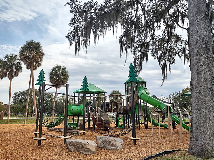 Adventure awaits at the forest-green playground where little explorers can burn energy before family picnics under nearby shade trees.