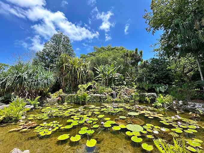 Lily pads float like nature's dinner plates, creating a scene so serene it should come with a meditation soundtrack.