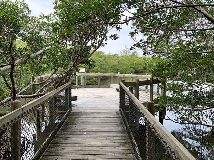 Observation decks provide perfect vantage points for spotting dolphins, birds, and the occasional manatee cruising through crystal-clear waters below.