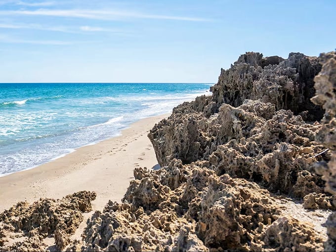 Nature's sculpture garden emerges from the sand, these ancient coquina rock formations create tide pools teeming with tiny marine treasures.