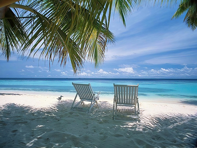 Two beach chairs wait patiently under swaying palms &ndash; nature's invitation to slow down and remember what vacation is really about.