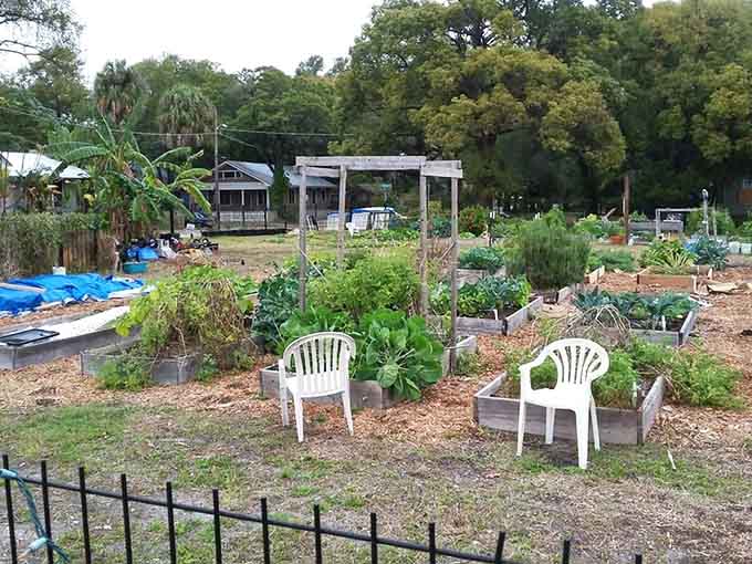 2. seminole heights community gardens community garden