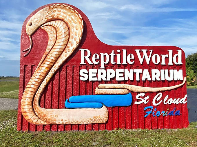 That iconic cobra sign beckons curious travelers to pull over and discover a world of reptiles in St. Cloud, Florida.