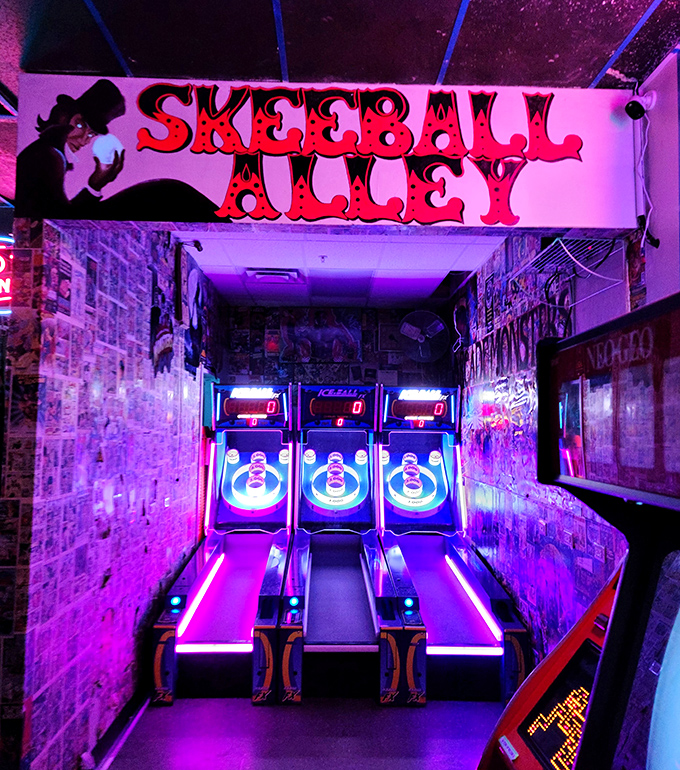 Skeeball Alley: Where wooden balls and simple physics create more genuine excitement than most modern technology. Some pleasures never need upgrading.