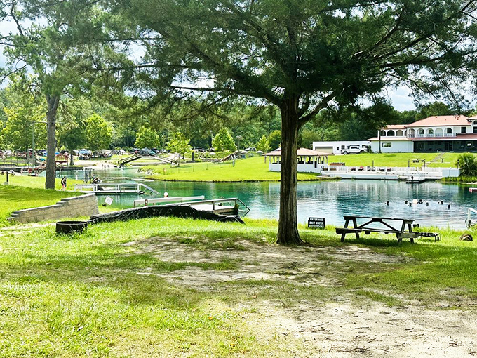 The spring's edge offers a perfect vantage point for contemplating life's big questions, like "How is water possibly this clear?"