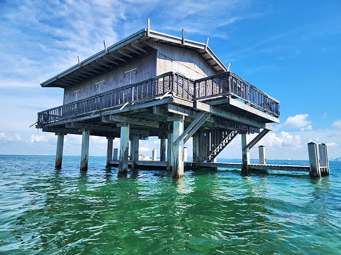 This wooden sentinel has witnessed decades of Miami history, standing guard over Biscayne Bay with the patience only a house on stilts can muster.