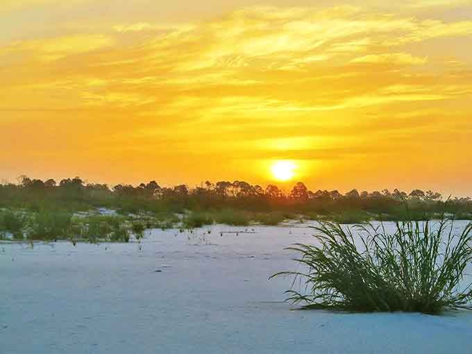 Golden hour transforms the pier into nature's runway, where sunsets perform their nightly magic show.