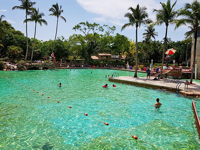 Swimmers enjoy the refreshing embrace of 820,000 gallons of spring water, replaced daily in a ritual as luxurious as it is environmentally conscious.