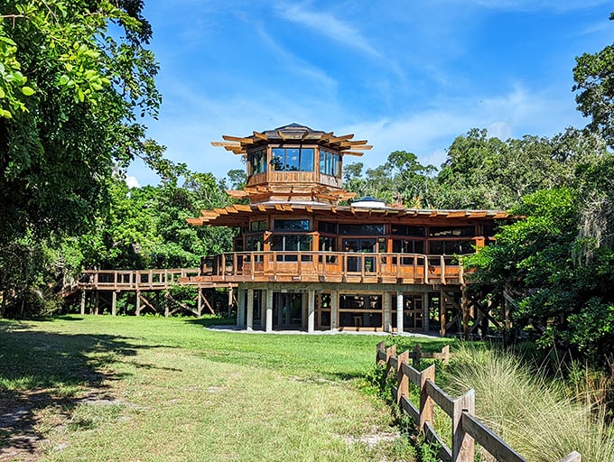The NEST's distinctive wooden architecture rises from the landscape like something from a storybook &ndash; part treehouse, part observation deck, all magic.
