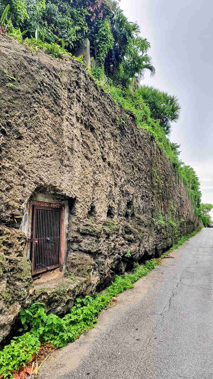 The "Witch's Wall" whispers tales of local folklore, its weathered surface holding centuries of secrets and wild imagination.