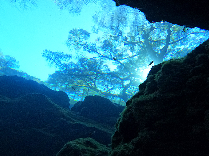 Sunlight filters through crystal waters, creating an otherworldly blue cathedral where divers float between two realms of existence.