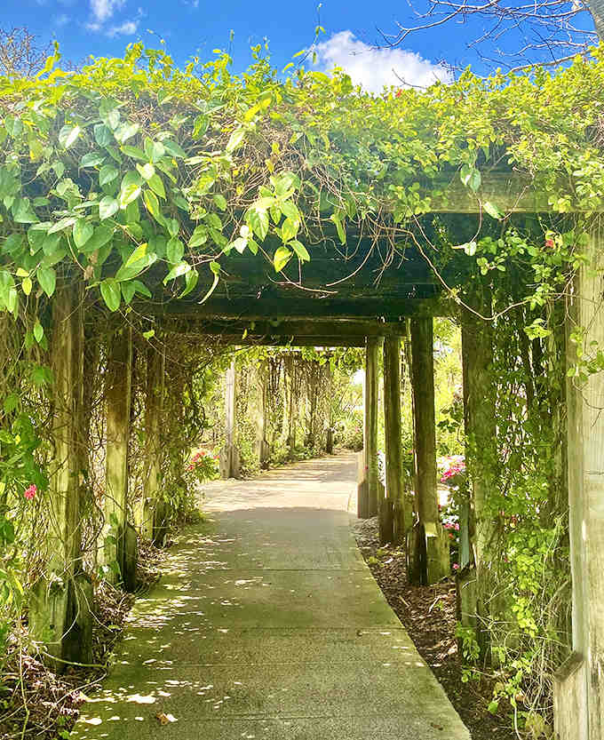 Brick pathways lead visitors through a labyrinth of creativity, where each turn reveals another "Did I really just see that?" moment.