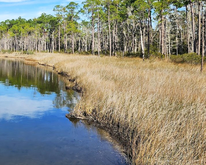 Where land meets water in perfect harmony &ndash; Tarkiln Bayou's wetlands reflect the sky like nature's own infinity pool.