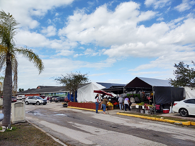 Outdoor market areas buzz with activity under blue skies, where shoppers hunt for deals among colorful vendor tents.