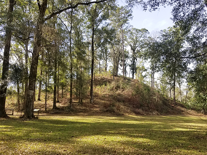 Wide space area: The Great Mound rises from Florida's landscape like a whisper from the past, challenging our notions of ancient capabilities.