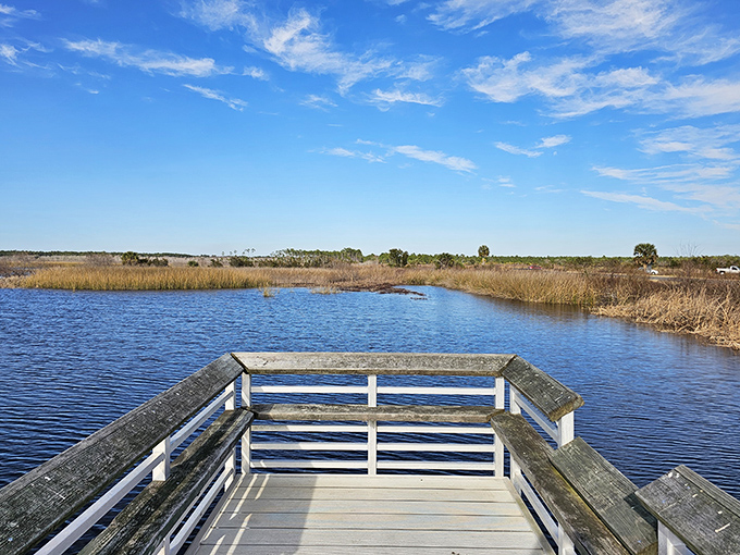 This wooden observation deck isn't just a platform – it's front-row seating to Mother Nature's greatest hits.