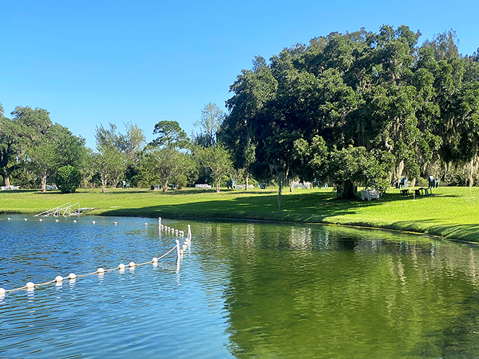 The circular pool's turquoise waters create a natural oasis, where visitors float peacefully like human lily pads.