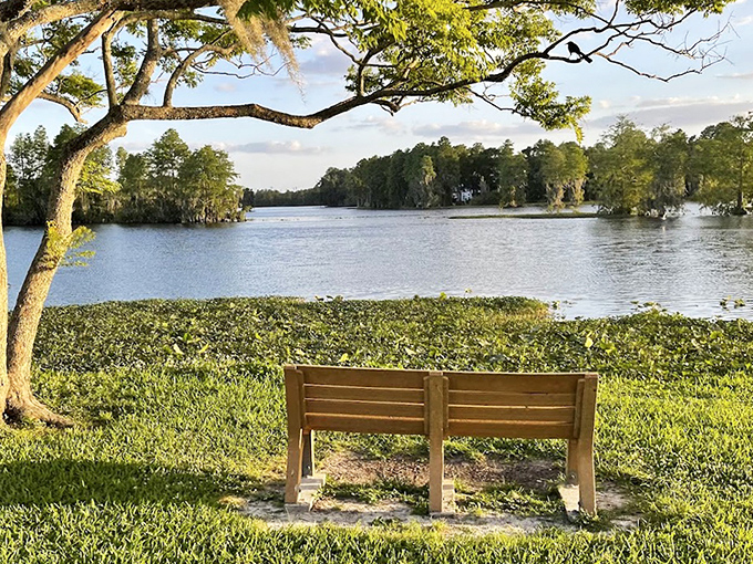 Simple wooden bench offering million-dollar views &ndash; nature's version of front-row seats to the greatest show on earth.
