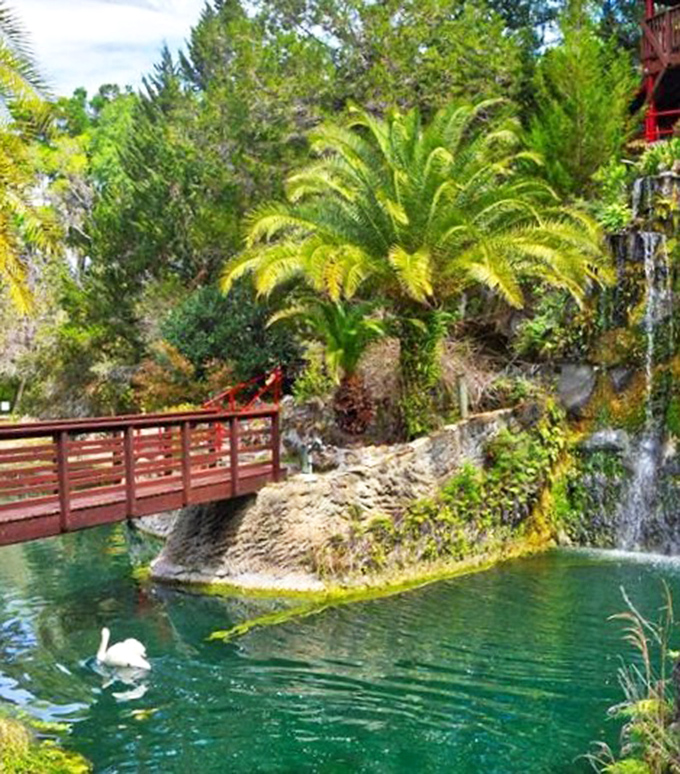 Nature's masterpiece unfolds with every step through this botanical garden, where pathways lead to unexpected moments of tranquility.