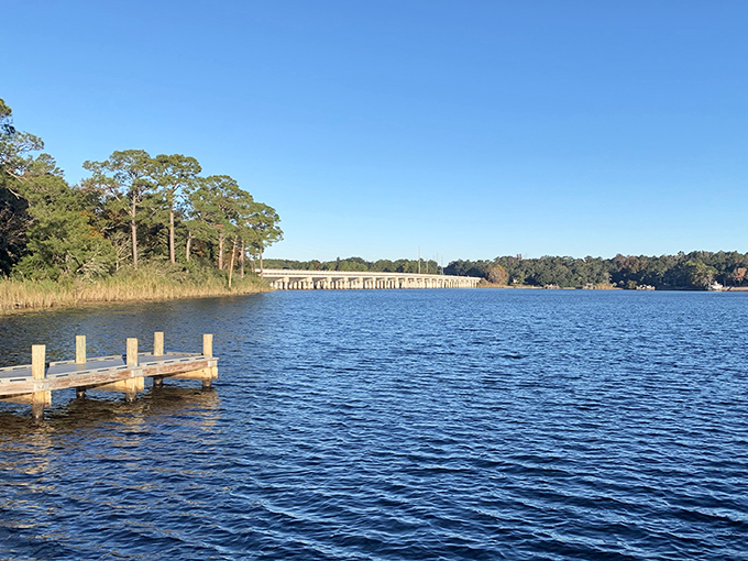 Nature's highway stretches across Rocky Bayou, connecting shorelines while offering boaters passage through this aquatic paradise.