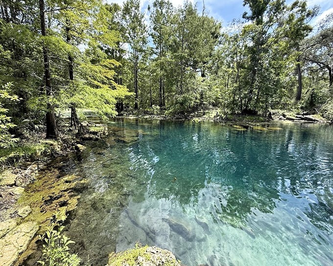 Nature's infinity pool! The crystalline waters of this spring are so clear you'll wonder if someone forgot to add the water.