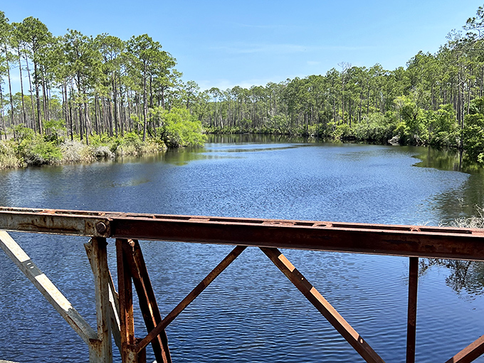 Mirror-like waters reflect towering pines along the shoreline, creating a perfect symmetry that's worth the early morning paddle.