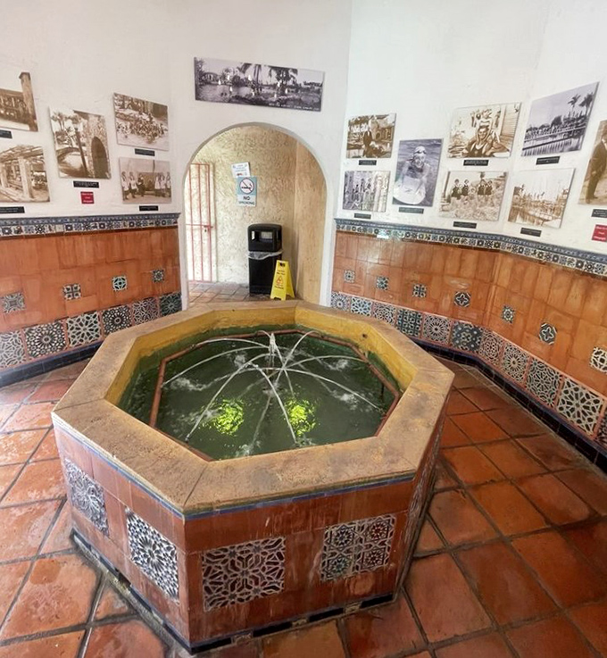 This isn't just any fountain &ndash; it's a historical treasure where generations have paused to make wishes before diving into aquatic bliss.