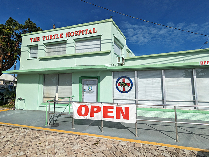 This unassuming building houses world-class veterinary facilities and dedicated staff who've turned turtle rehabilitation into both science and art.