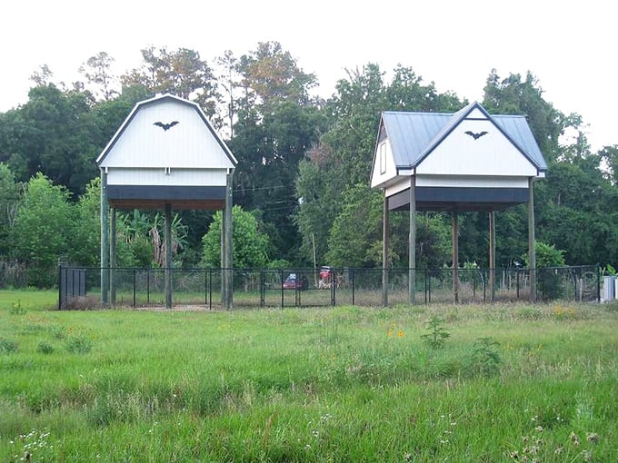Three architectural marvels on stilts &ndash; not luxury condos, but perhaps the most exclusive real estate in Gainesville for its furry flying residents.