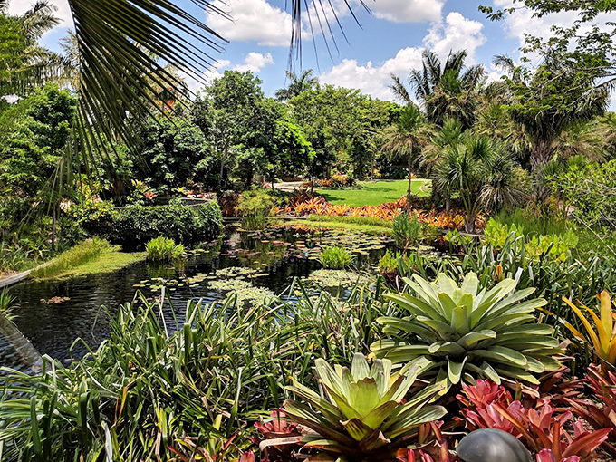 Tropical splendor unfolds at every turn as palms frame this tranquil water feature teeming with aquatic plants.